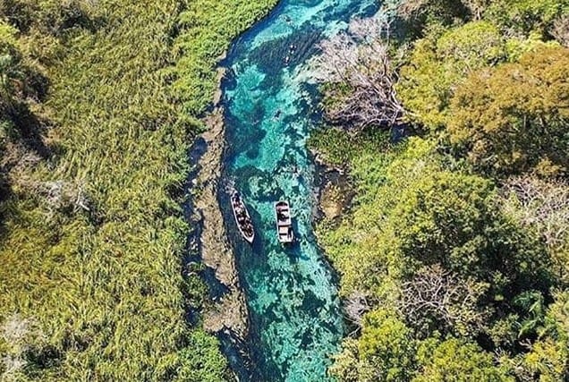 Rio Sucuri l Flutuação em Bonito MS | Acqua Viagens