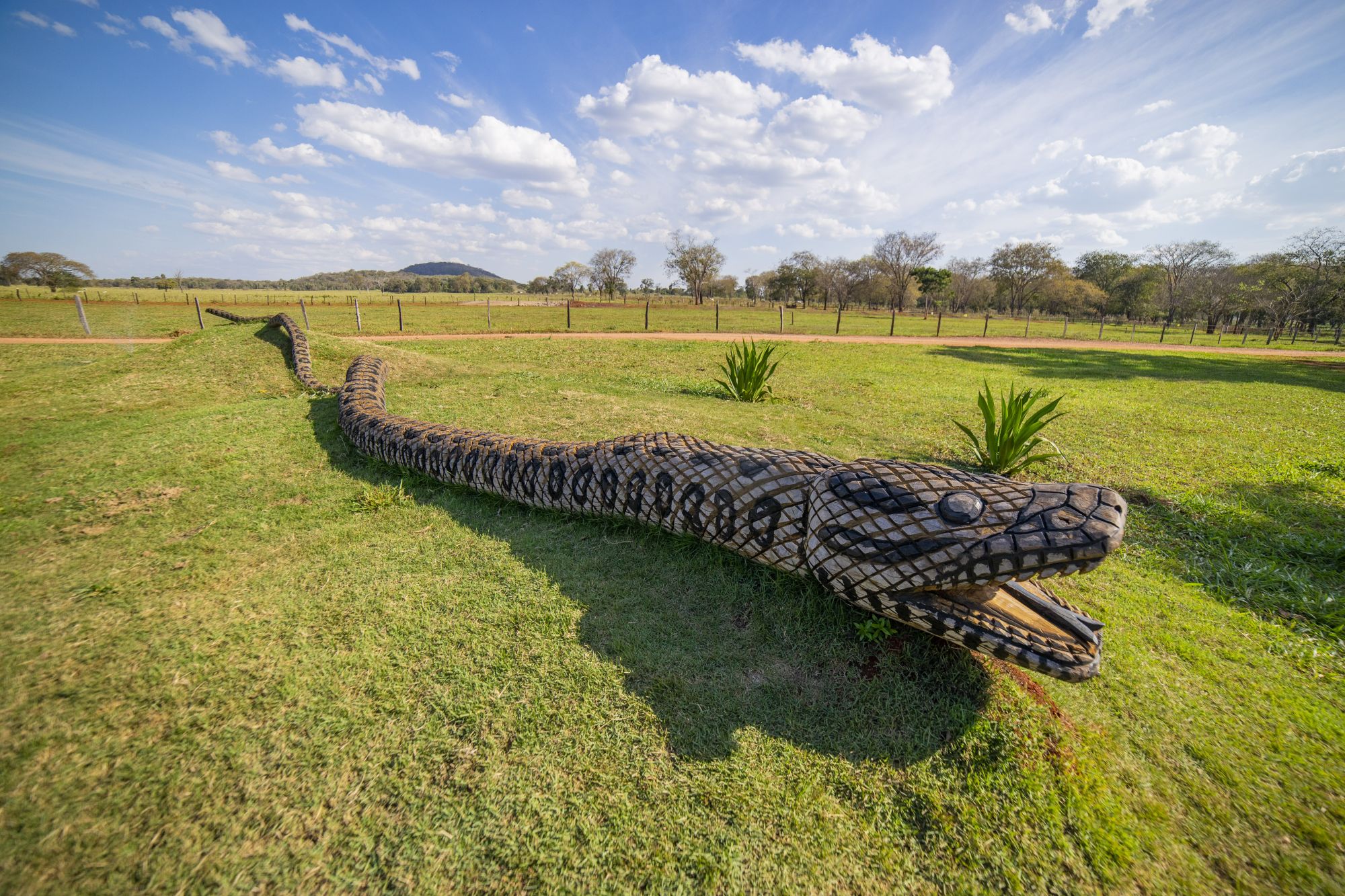 Rio Sucuri l Flutuação em Bonito MS | Acqua Viagens